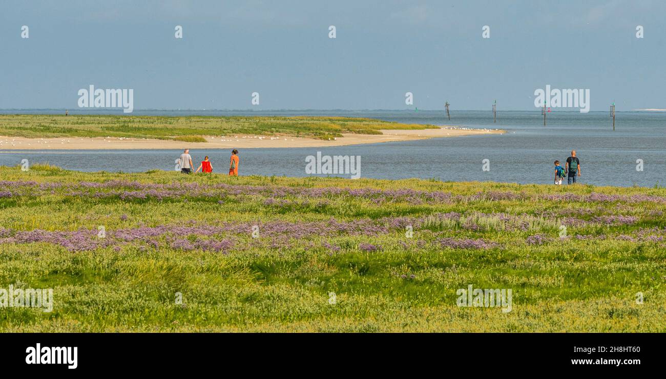 Small trawlers hi-res stock photography and images - Alamy