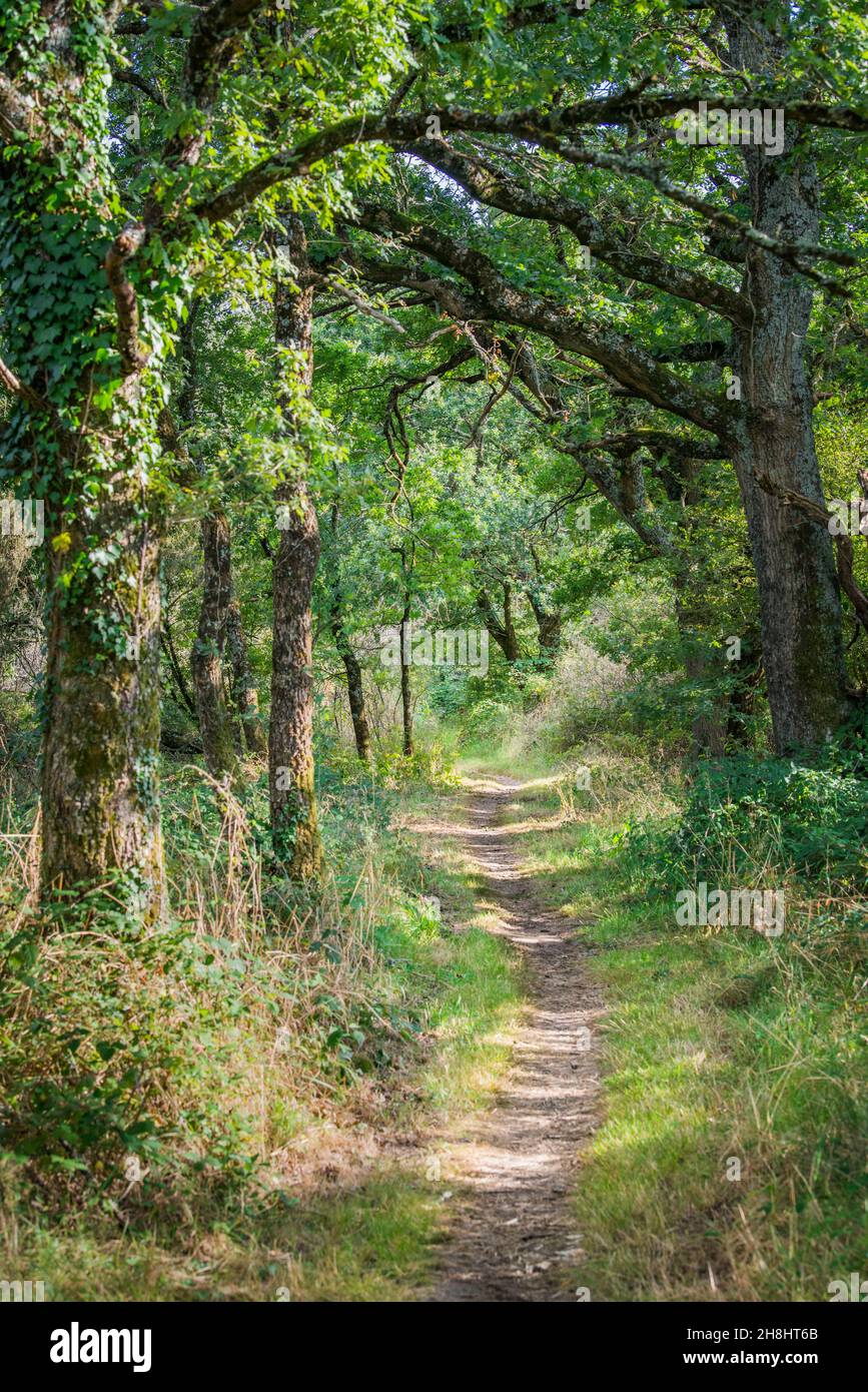 Cherine reserve hi-res stock photography and images - Alamy