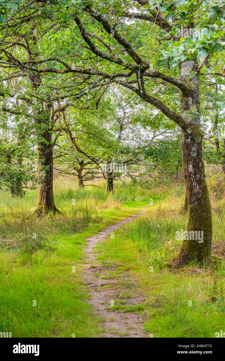 Cherine reserve hi-res stock photography and images - Alamy