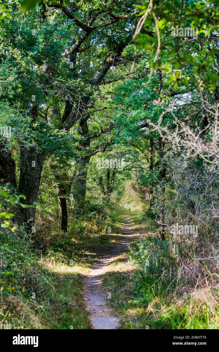 Cherine reserve hi-res stock photography and images - Alamy