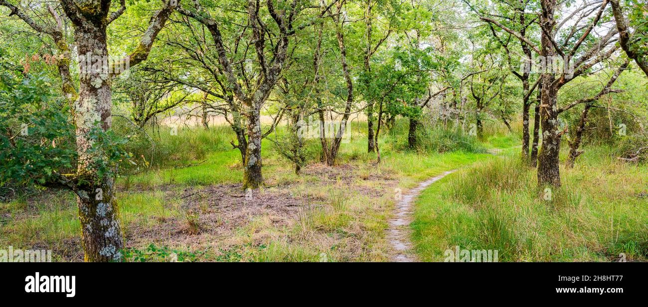 Cherine reserve hi-res stock photography and images - Alamy