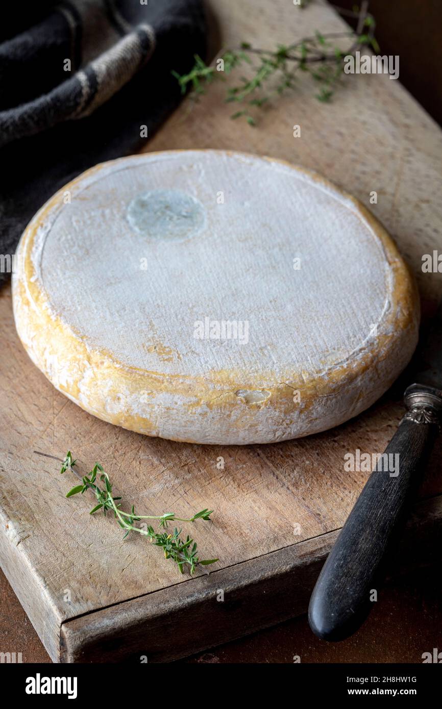 France, Haute Savoie, cheese AOC Reblochon fermier Stock Photo - Alamy