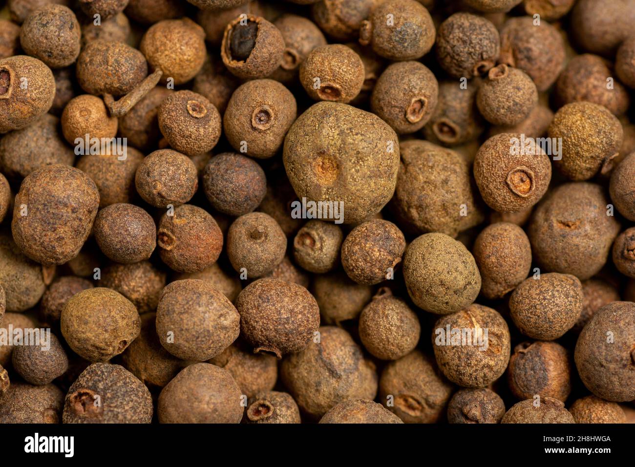Allspice spice background. Natural seasoning texture close up Stock ...