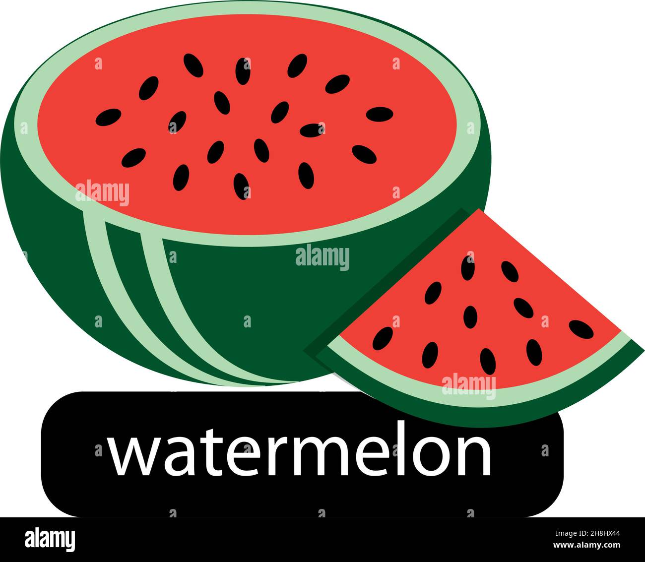 Vectorized drawing of a watermelon. Fresh summer fruit cut with pips ...