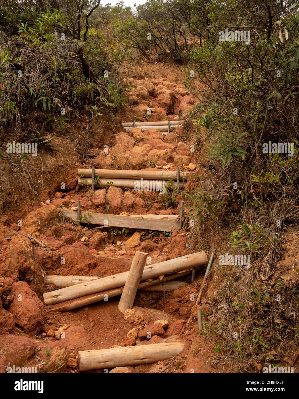 Eroded trail to Morro do Bonet, Rocio, Petropolis, Rio de Janeiro, Brazil, showing the ...