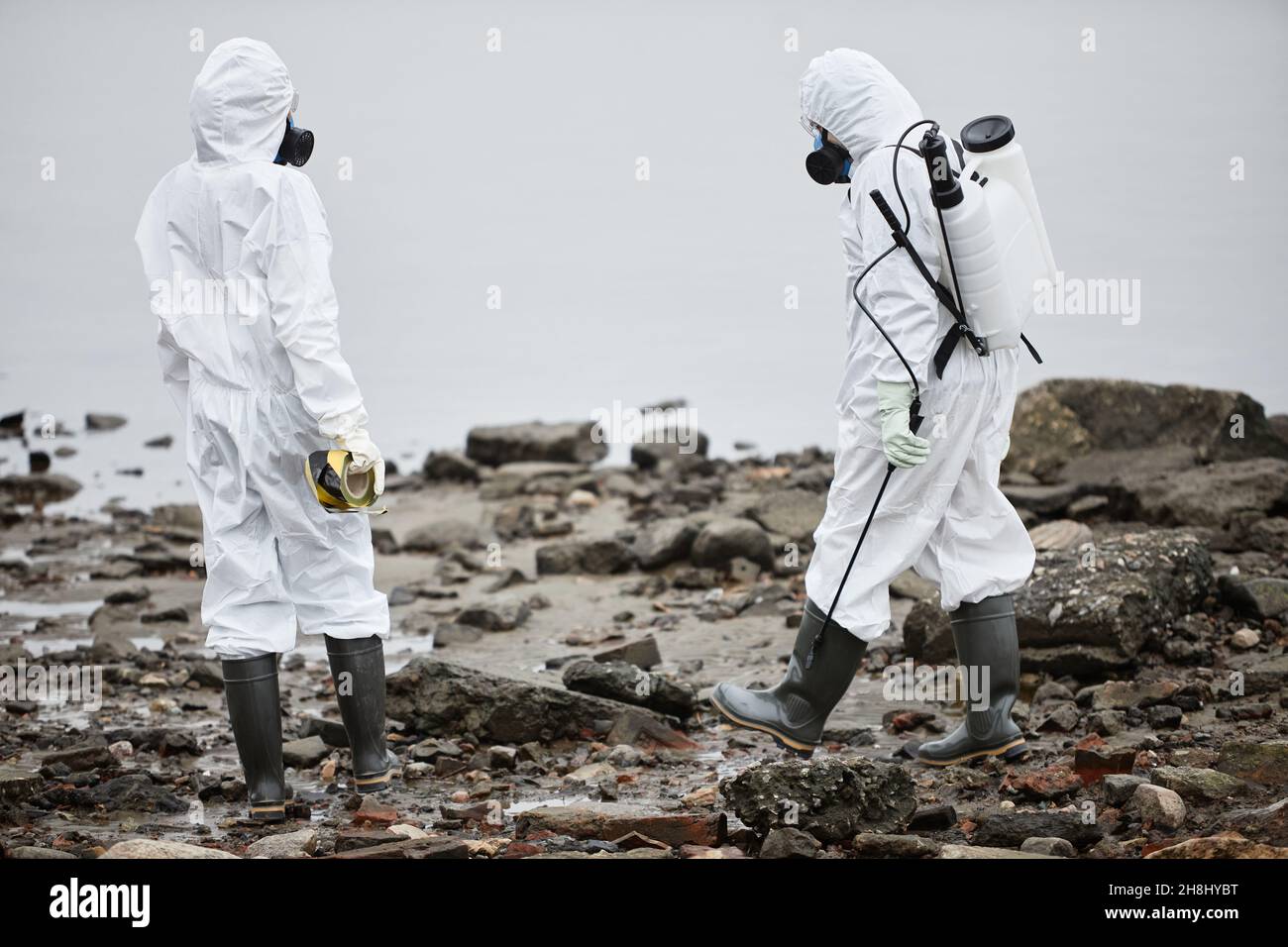 Full length portrait of two workers wearing hazmat suits collecting ...