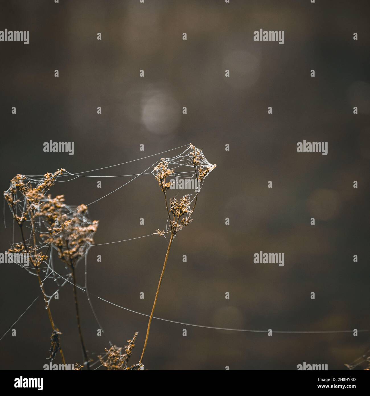 Closeup shots of objects Stock Photo - Alamy