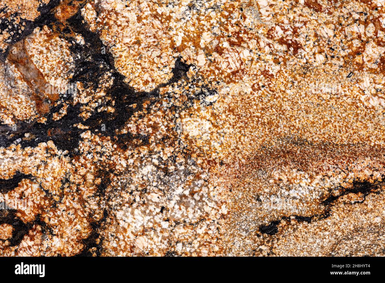 New Sedna - granite background, beautiful texture in ideal gold tone ...