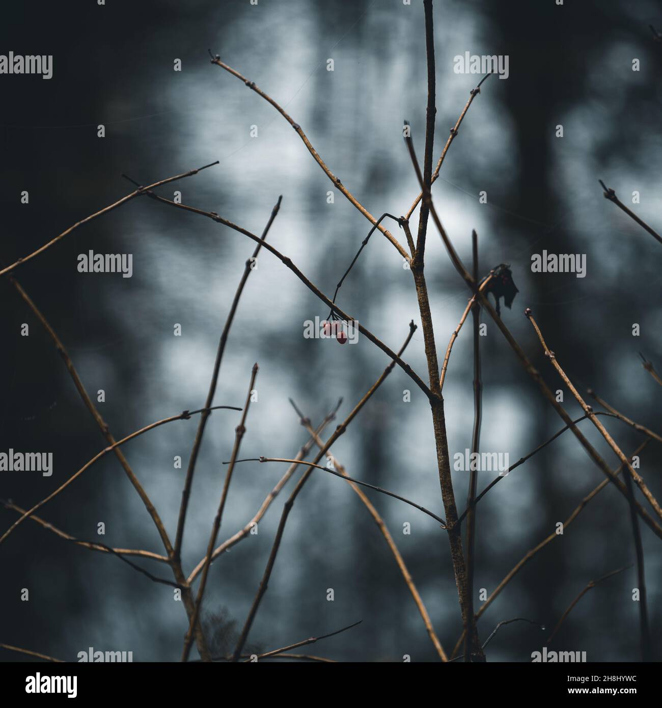 Closeup shots of objects Stock Photo - Alamy