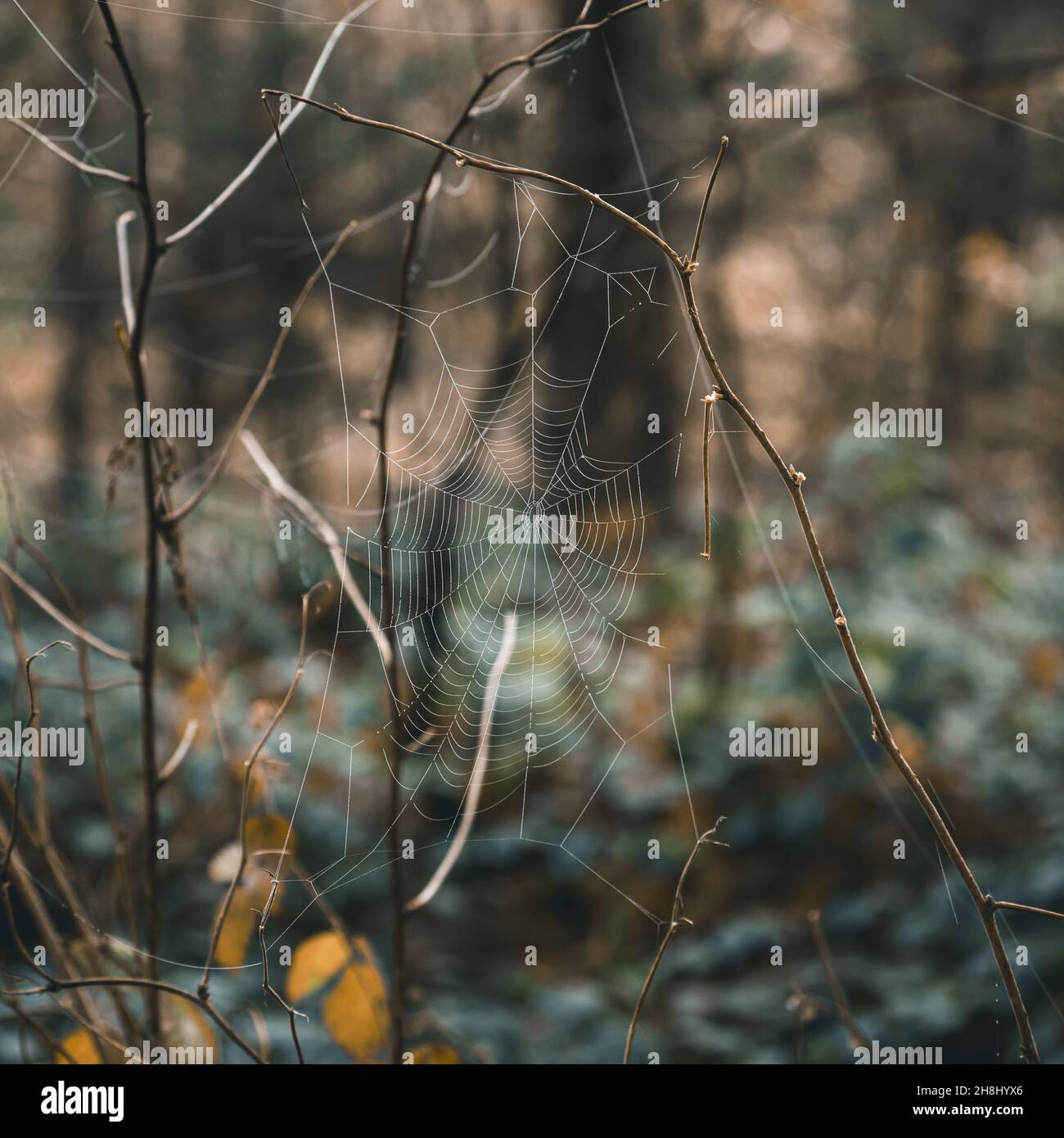 Closeup shots of objects Stock Photo - Alamy