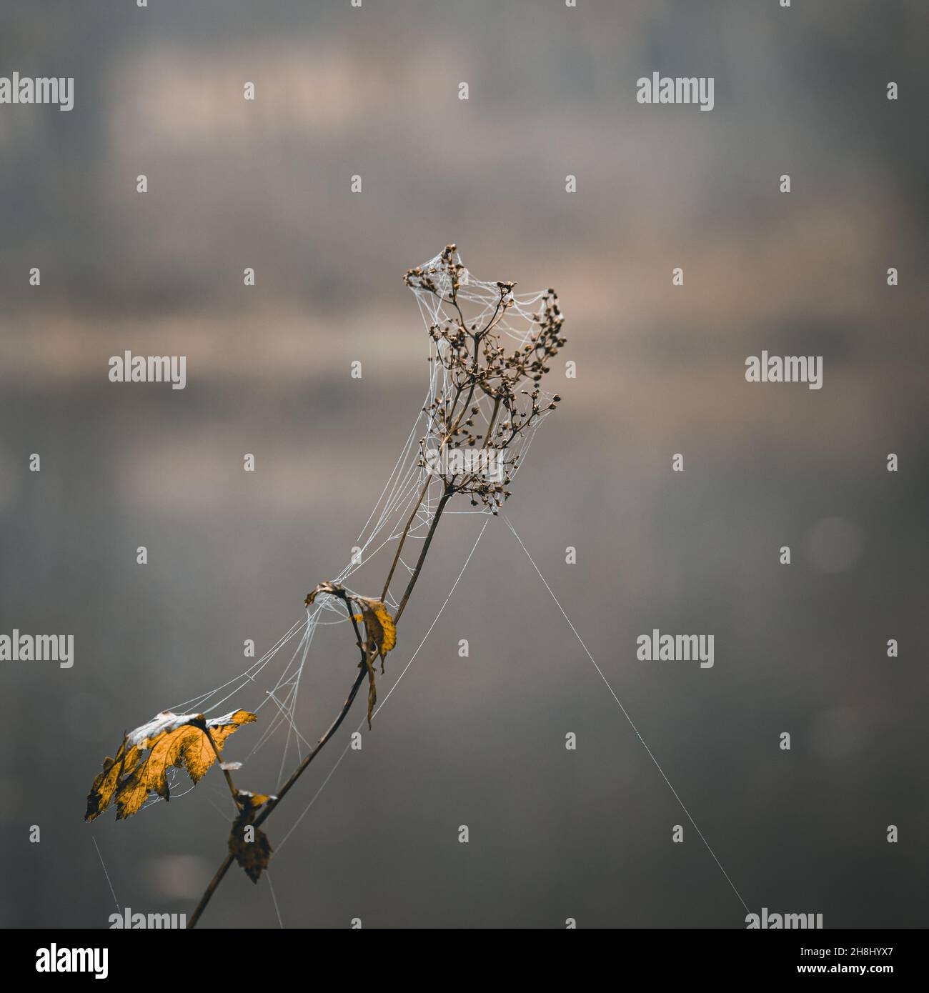 Closeup shots of objects Stock Photo - Alamy