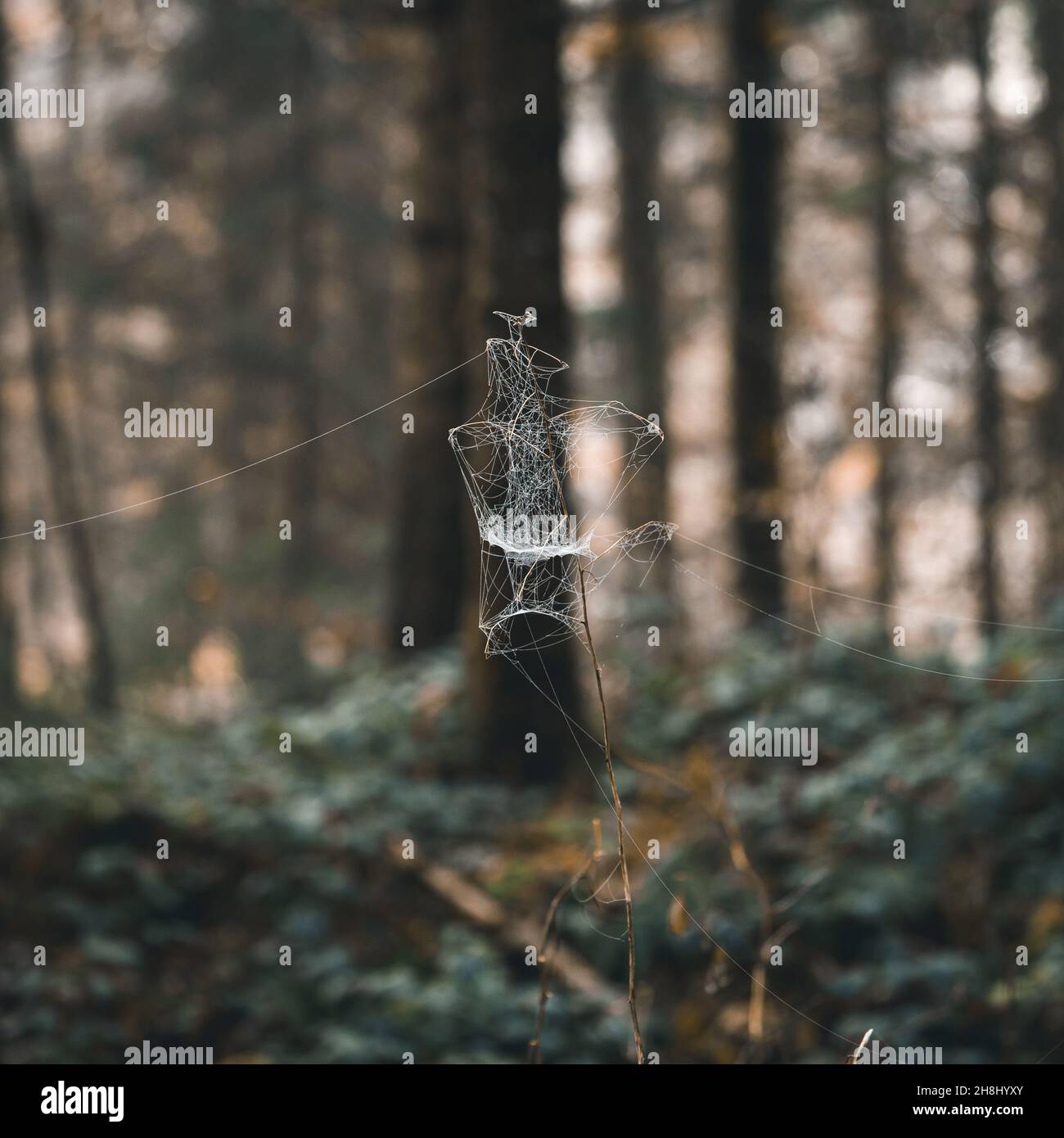 Closeup shots of objects Stock Photo - Alamy