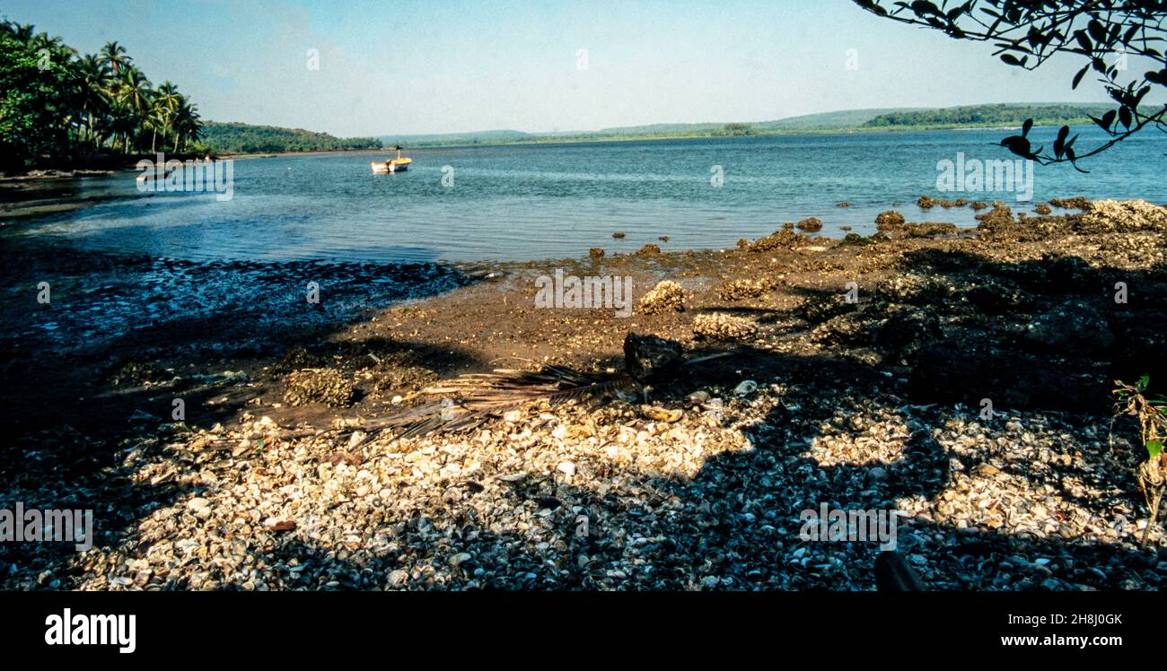 Beauty of rural Goa. High resolution intimate recollection of idyllic holiday location for ...