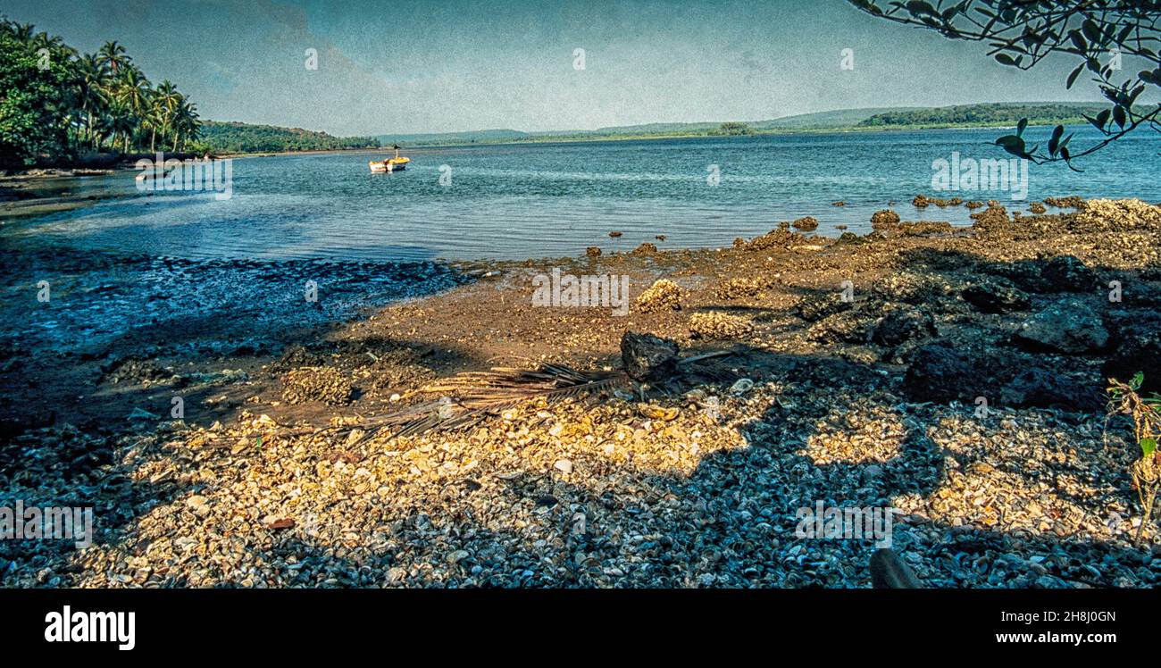 Beauty of rural Goa. High resolution intimate recollection of idyllic ...