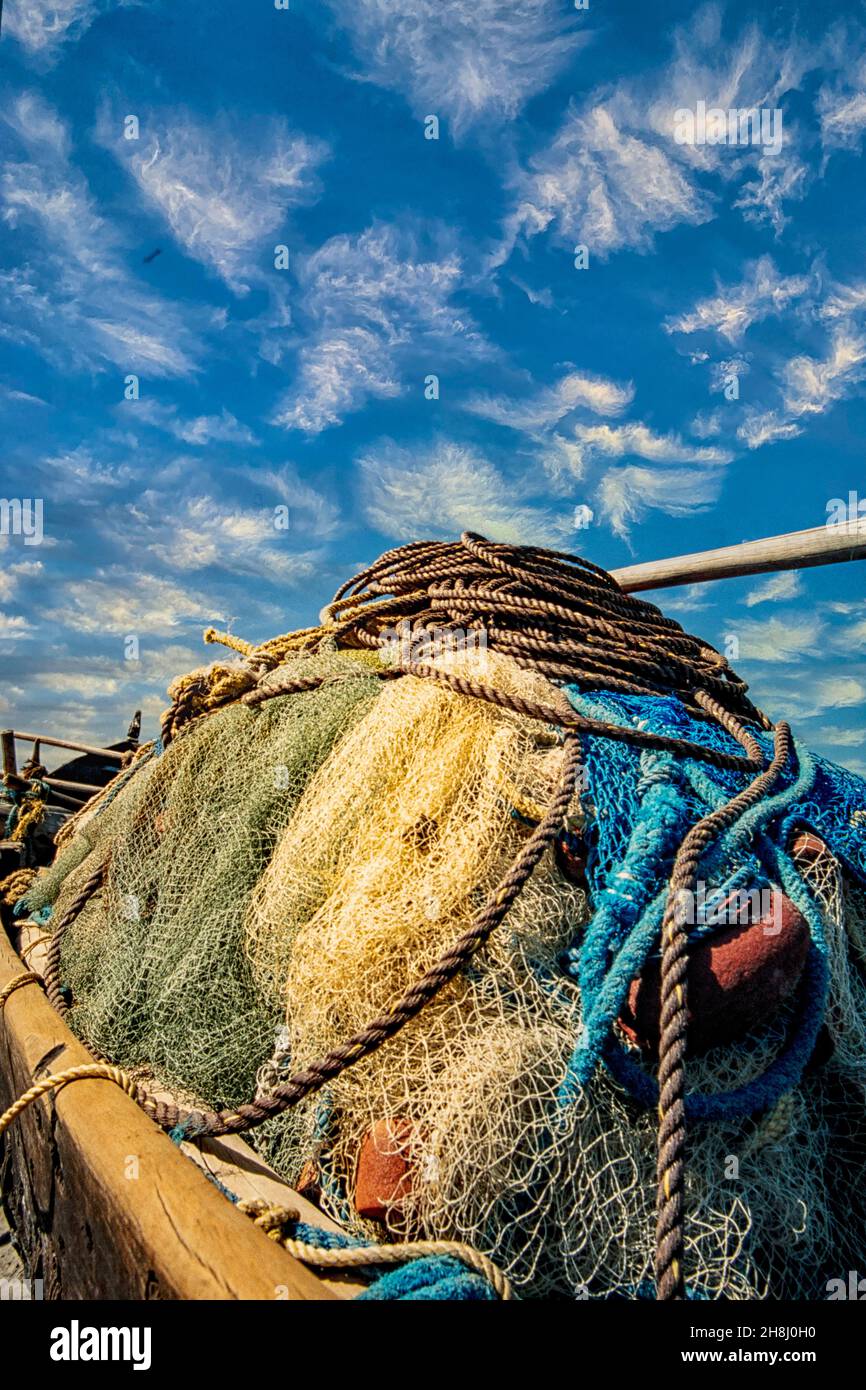 Beauty of rural Goa. High resolution intimate recollection of idyllic ...