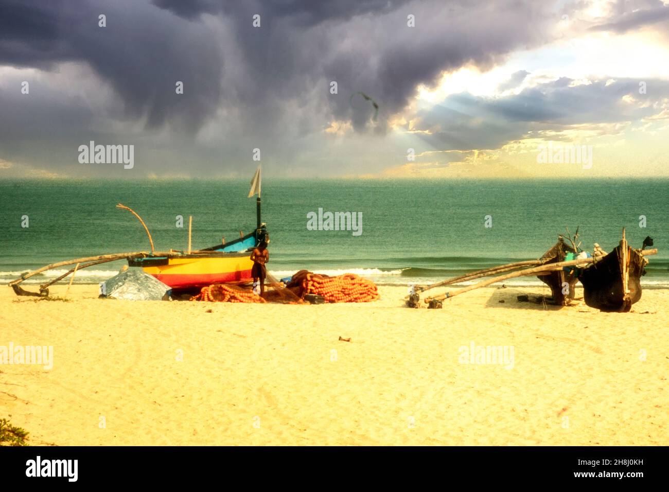 Beauty of rural Goa. High resolution intimate recollection of idyllic holiday location for ...