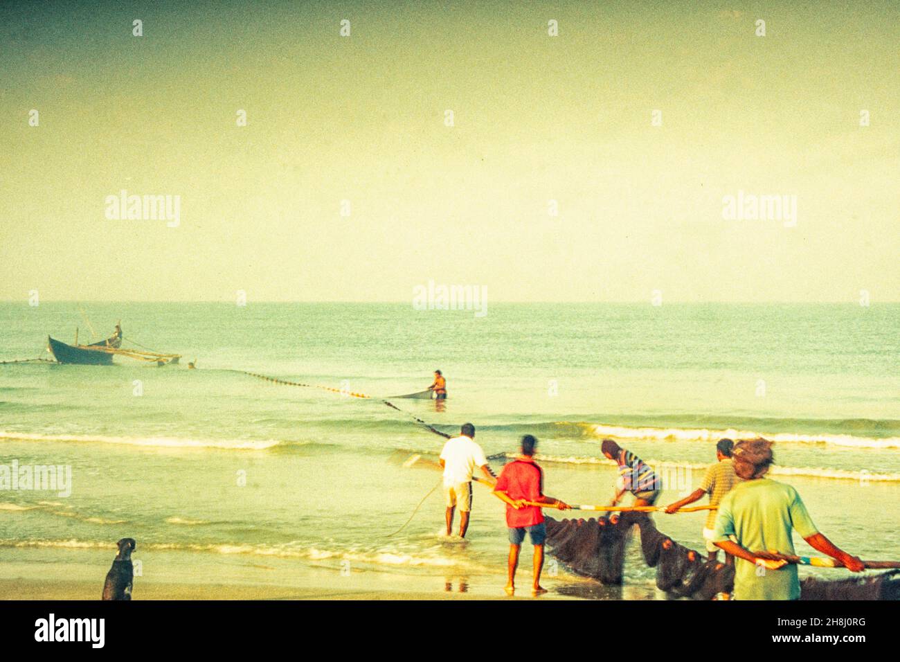 The catch, sustainable commercial fishing in Goa, India. Beachside ...