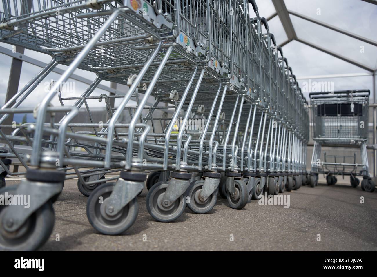 Shopping carts in a row. Round wheels and wire baskets. Deep ...