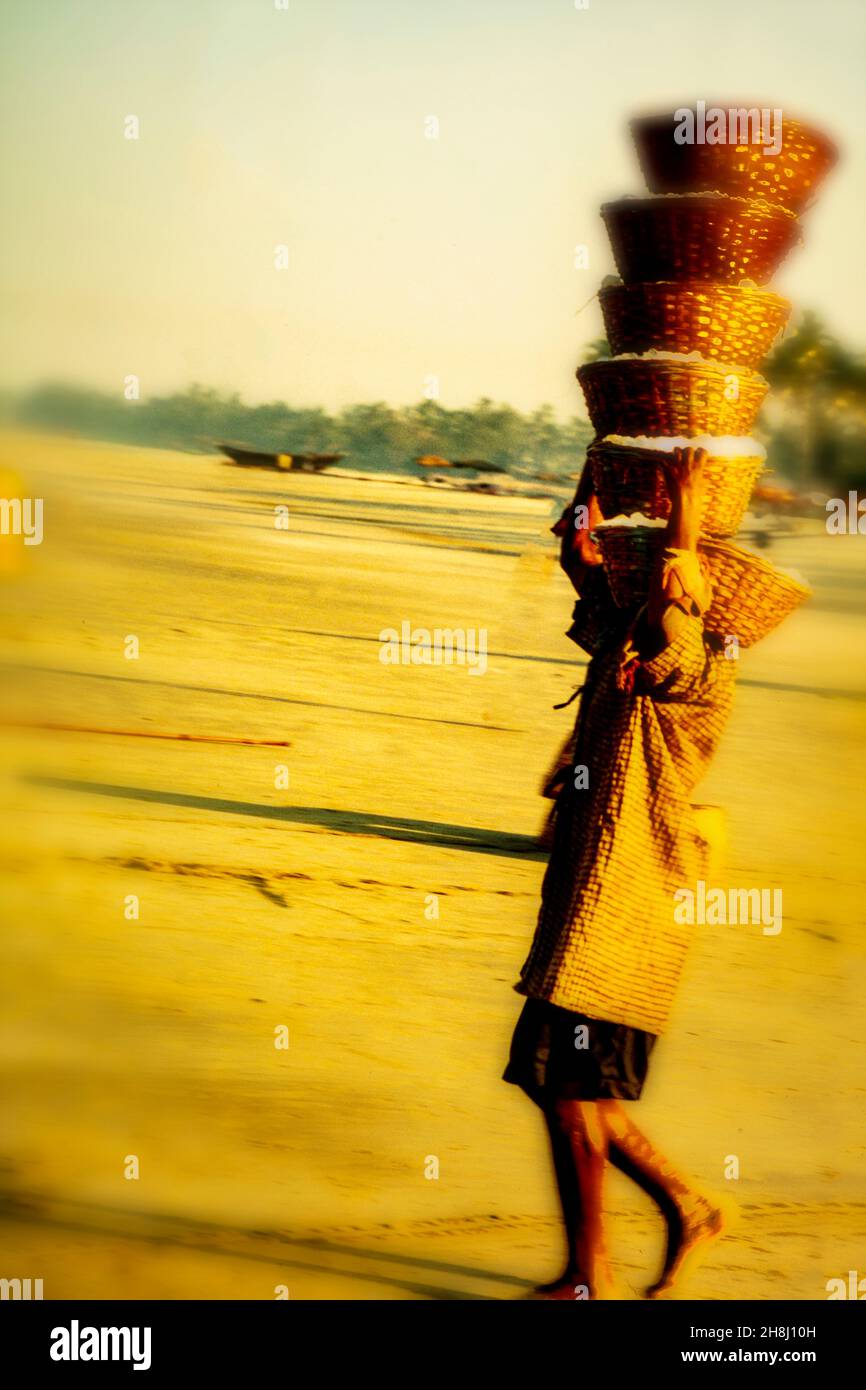 The catch, sustainable commercial fishing in Goa, India. Beachside ...