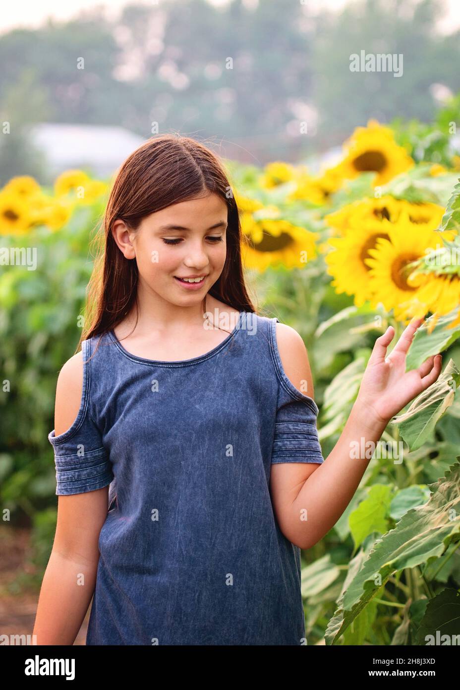 Happy tween girl in a sunflower field Stock Photo - Alamy