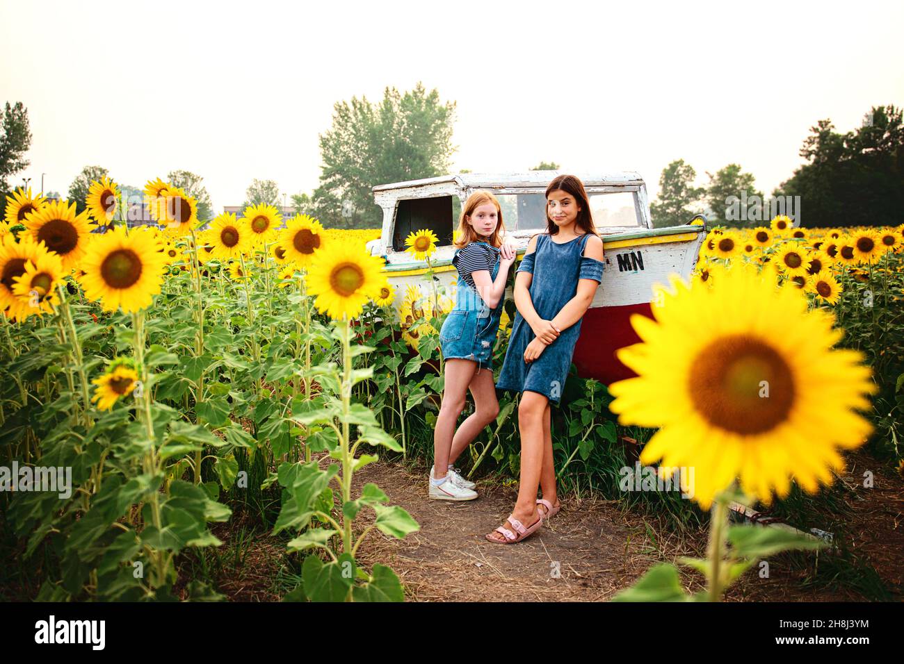 Two happy tween girls in a sunflower field Stock Photo - Alamy