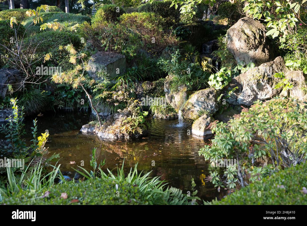 Japanese garden with a small waterfall Stock Photo - Alamy