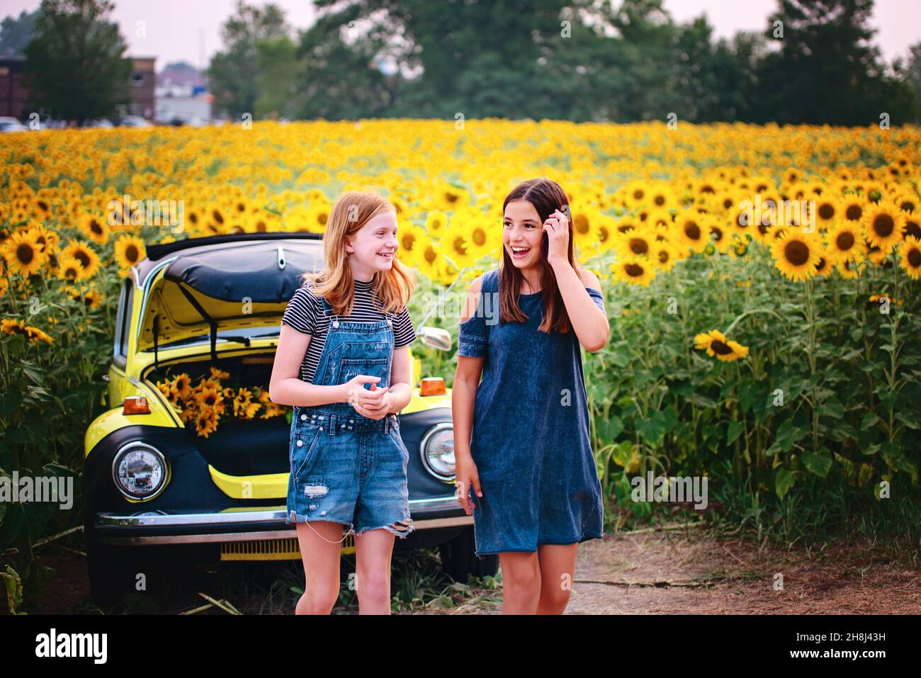 Two happy tween girls in a sunflower field Stock Photo - Alamy