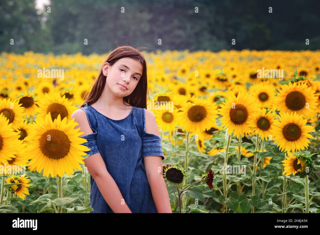 Happy tween girl in a sunflower field Stock Photo - Alamy