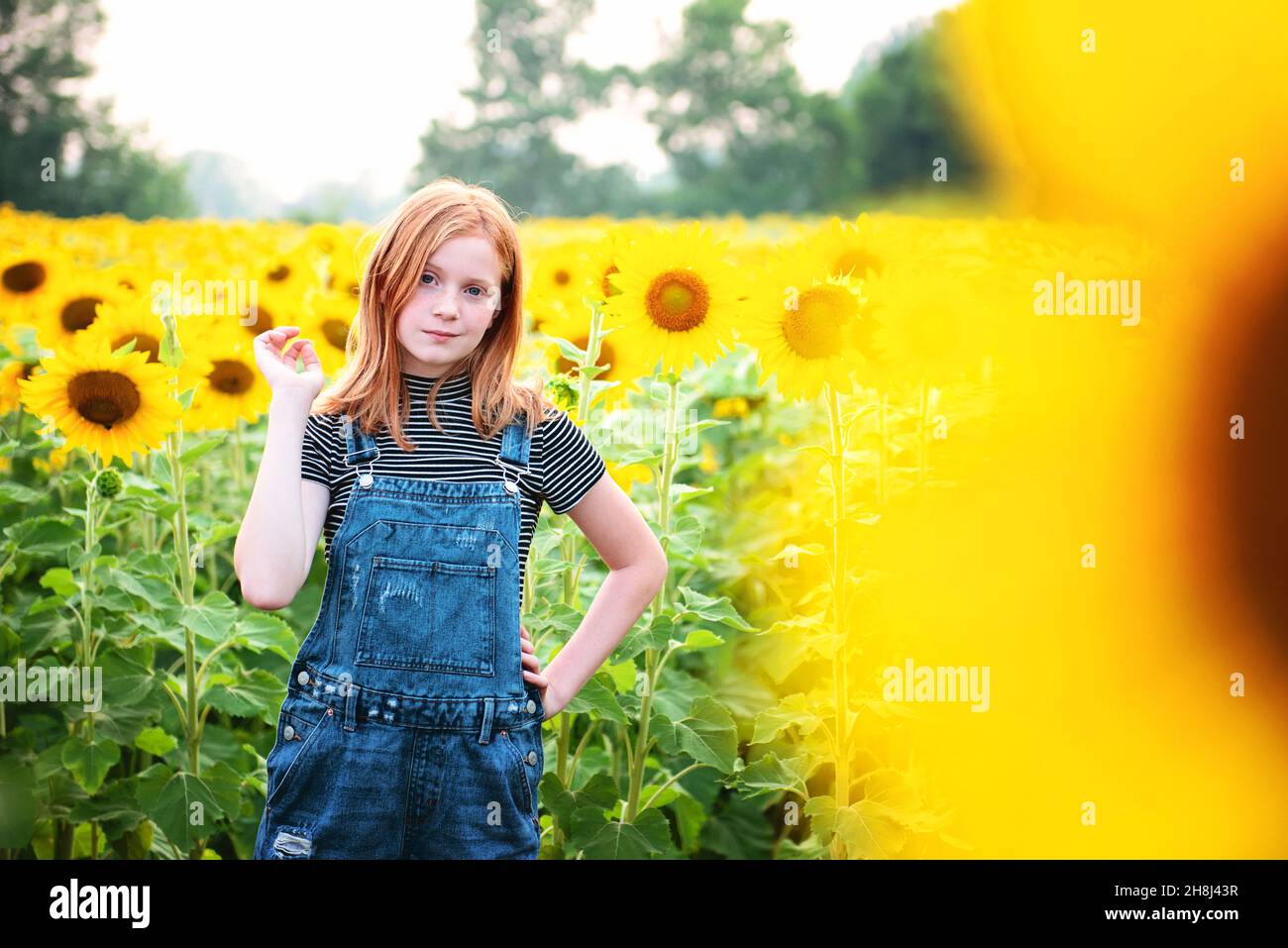 Happy tween girl in a sunflower field Stock Photo - Alamy