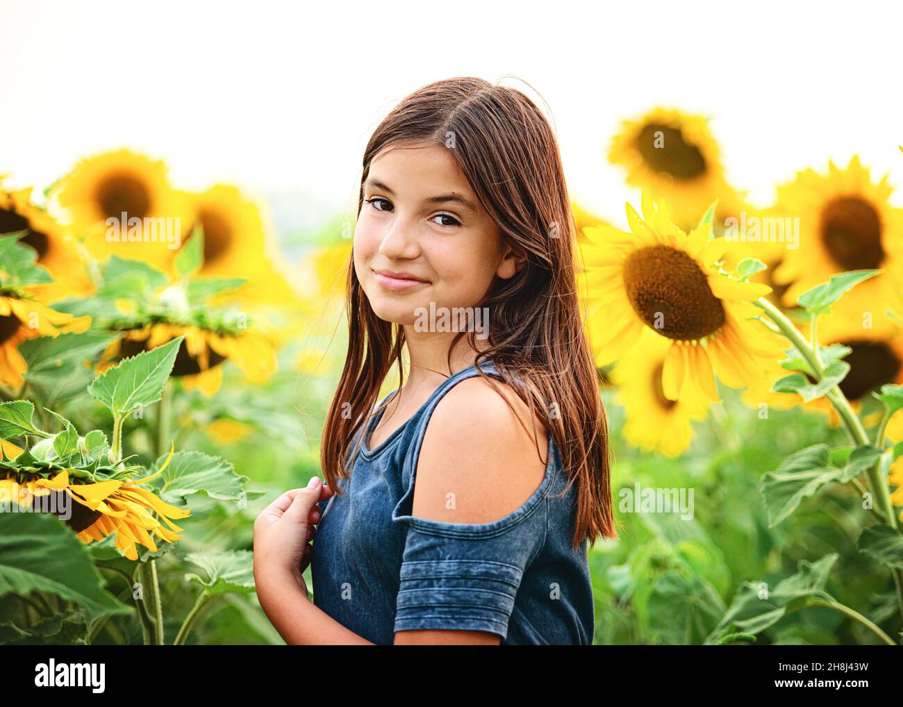 Happy tween girl in a sunflower field Stock Photo - Alamy