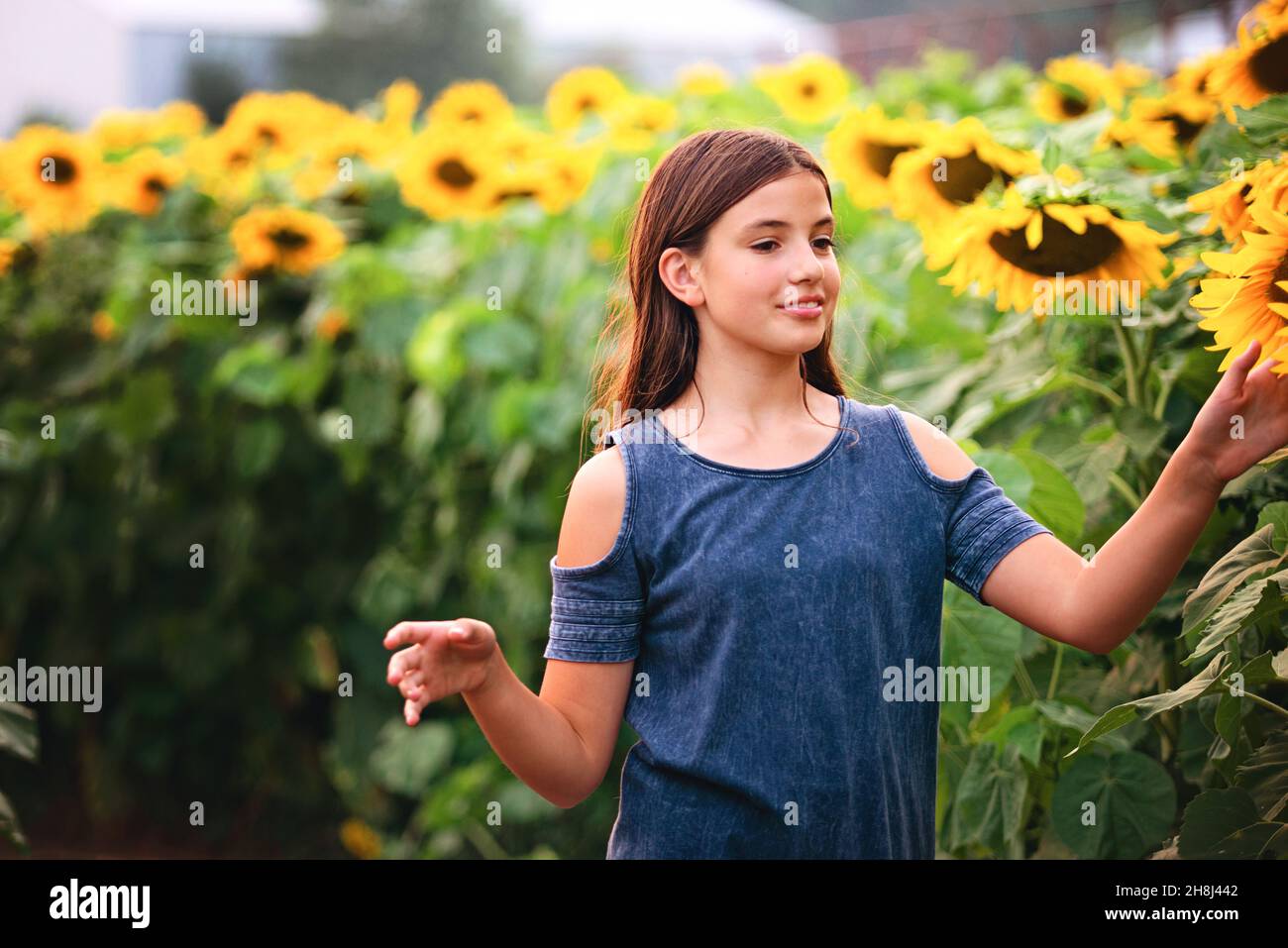 Happy tween girl in a sunflower field Stock Photo - Alamy