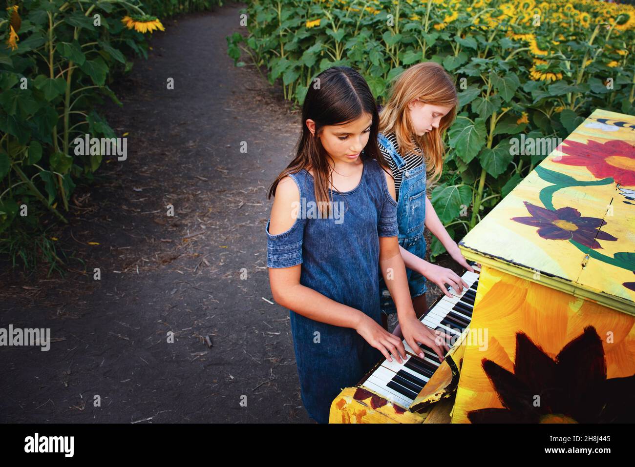 Two happy tween girls in a sunflower field Stock Photo - Alamy