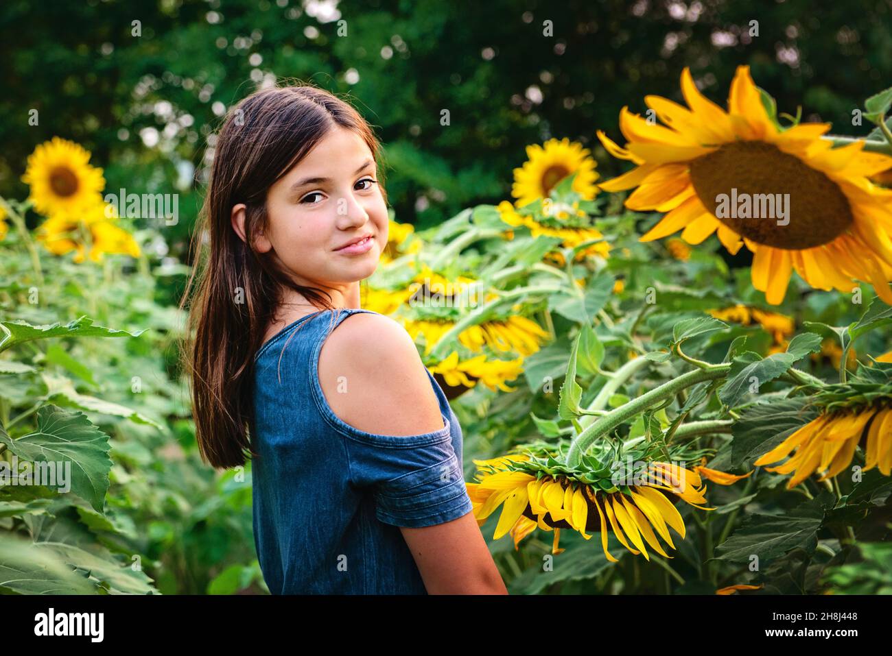 Happy tween girl in a sunflower field Stock Photo - Alamy