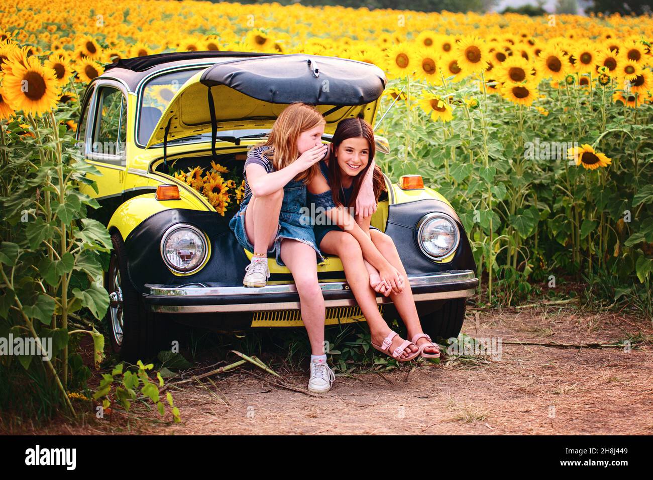 Two happy tween girls in a sunflower field Stock Photo - Alamy