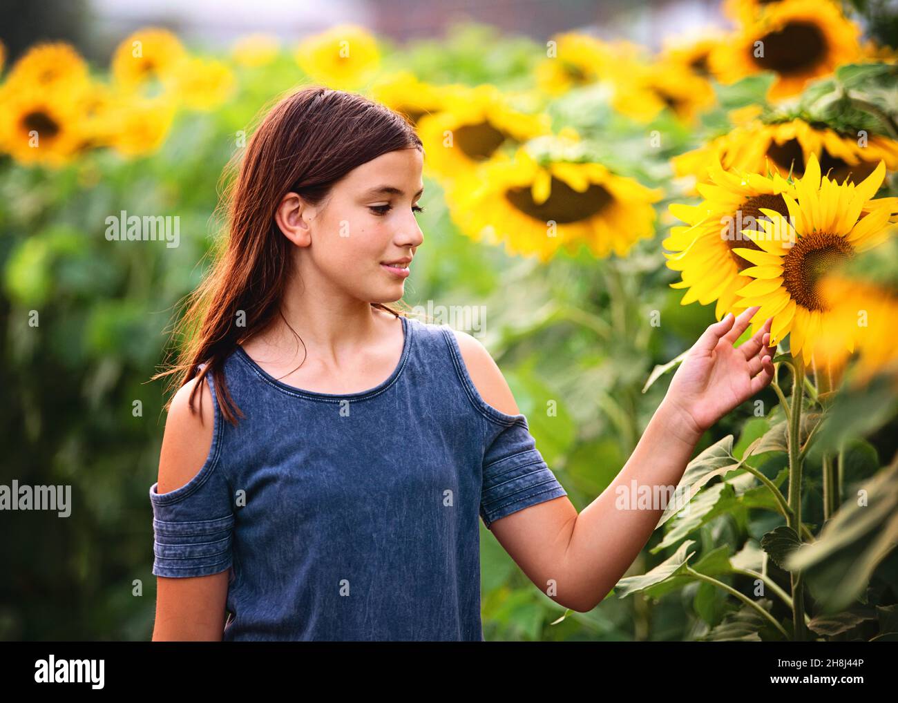 Happy tween girl in a sunflower field Stock Photo - Alamy