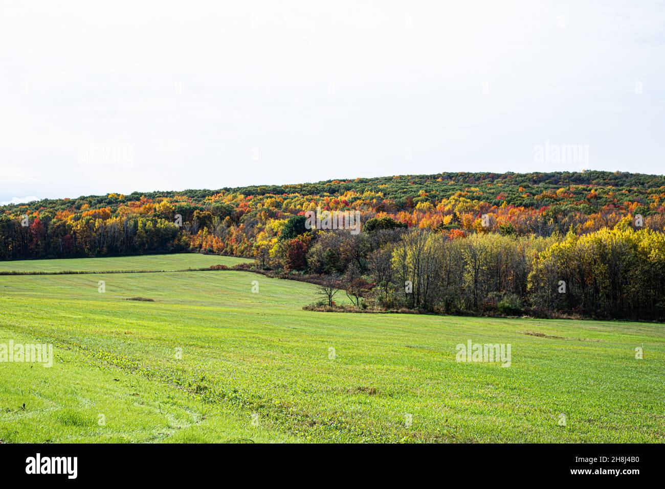 Showing the colors hi-res stock photography and images - Alamy