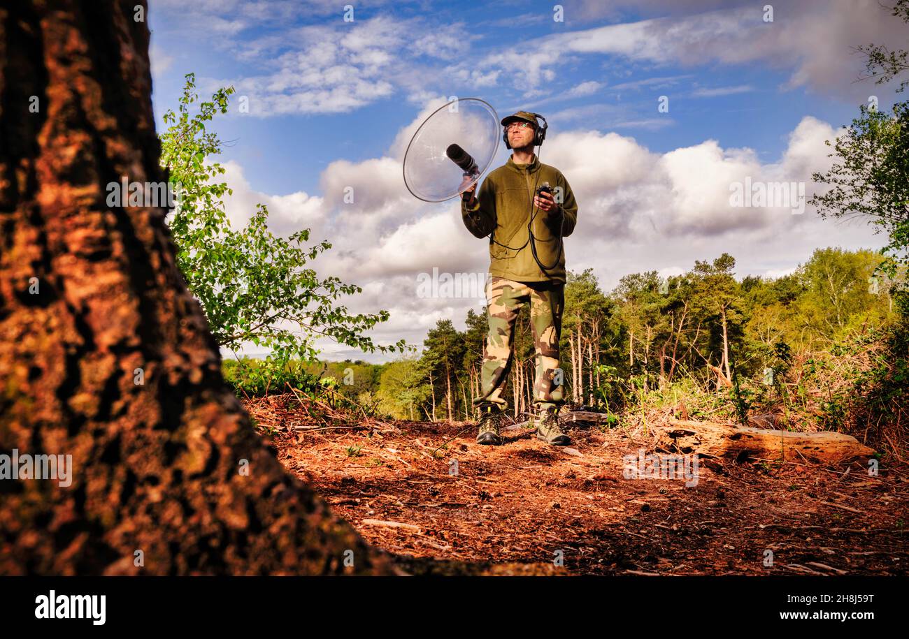 Parabolic reflector record birds hi-res stock photography and images ...