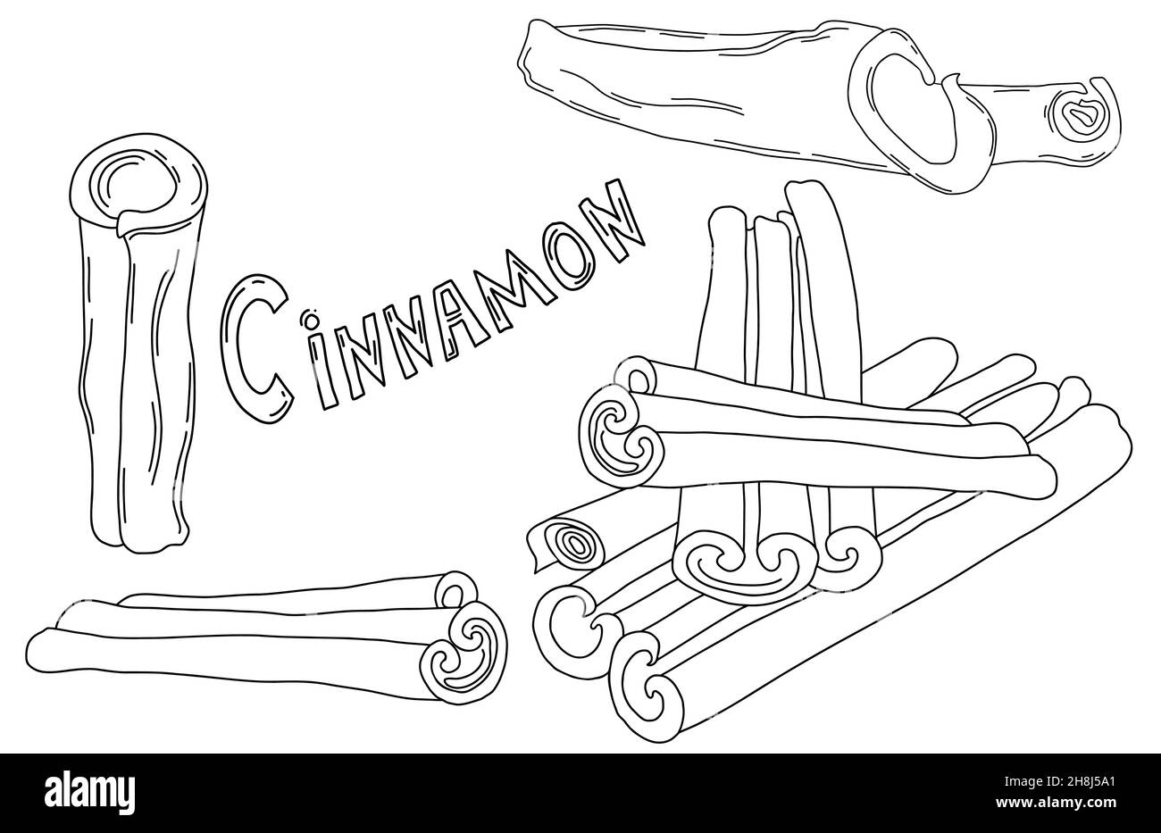 Spice collection Cinnamon sticks. Aromatic spice. Vector illustration ...