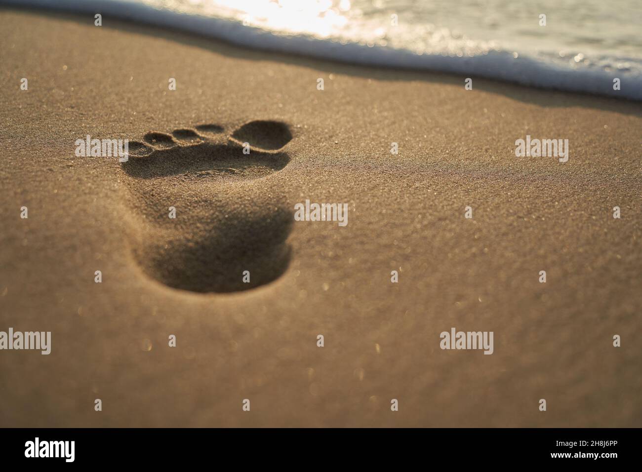 Big footprint on the sandy beach. Water edge of the sea. Depth of field ...