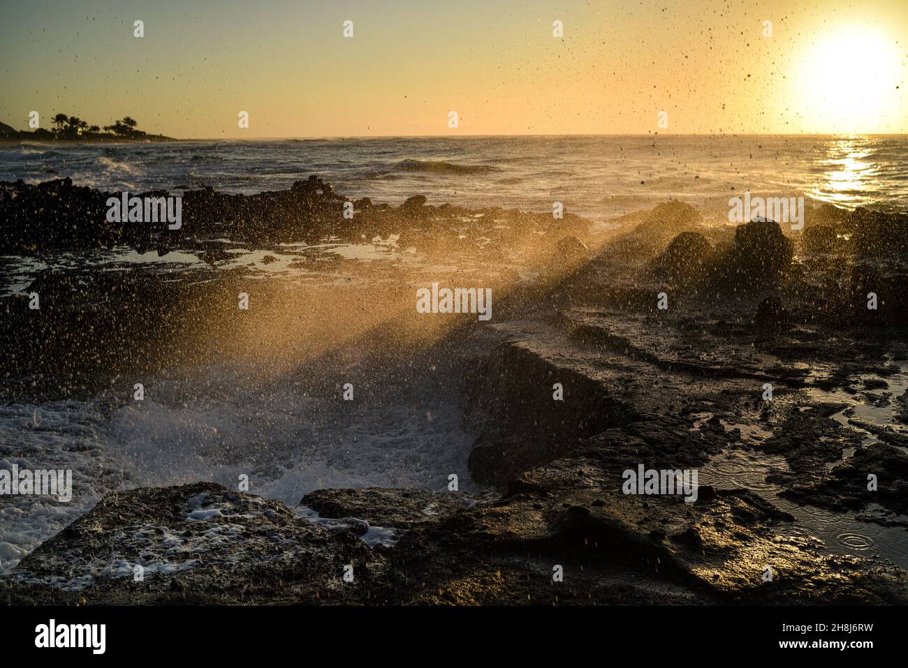 Kai wild hi-res stock photography and images - Alamy