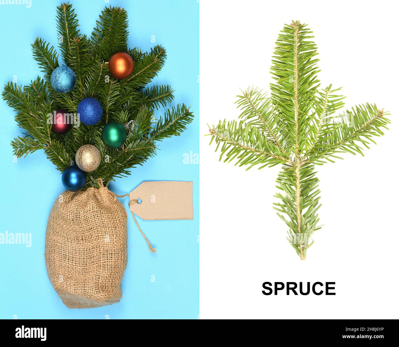 Creative layout made of spruce branch and christmas decorations. High ...