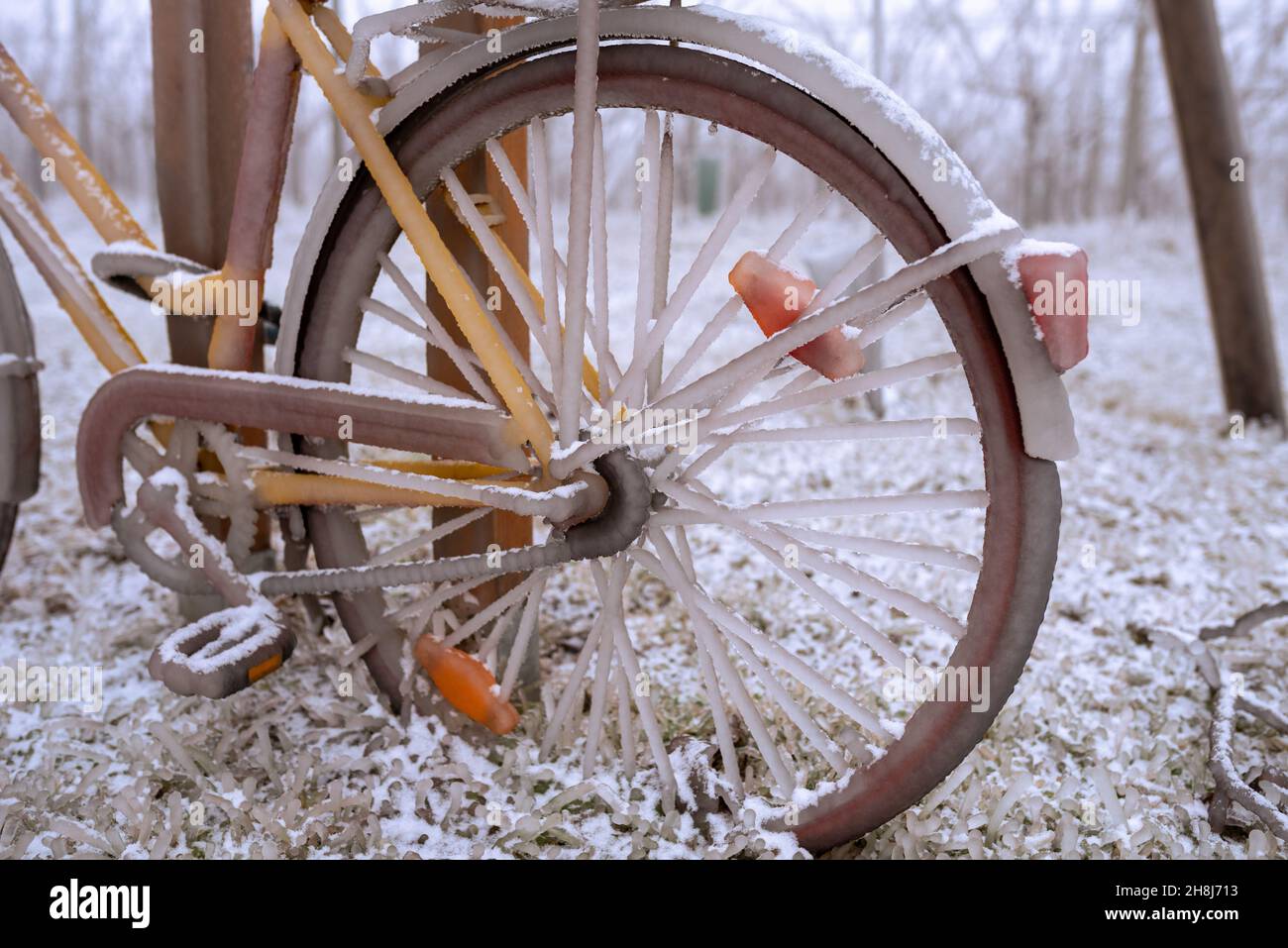 Frozen bike covered with ice. Frozen bike in the middle of wintry ...