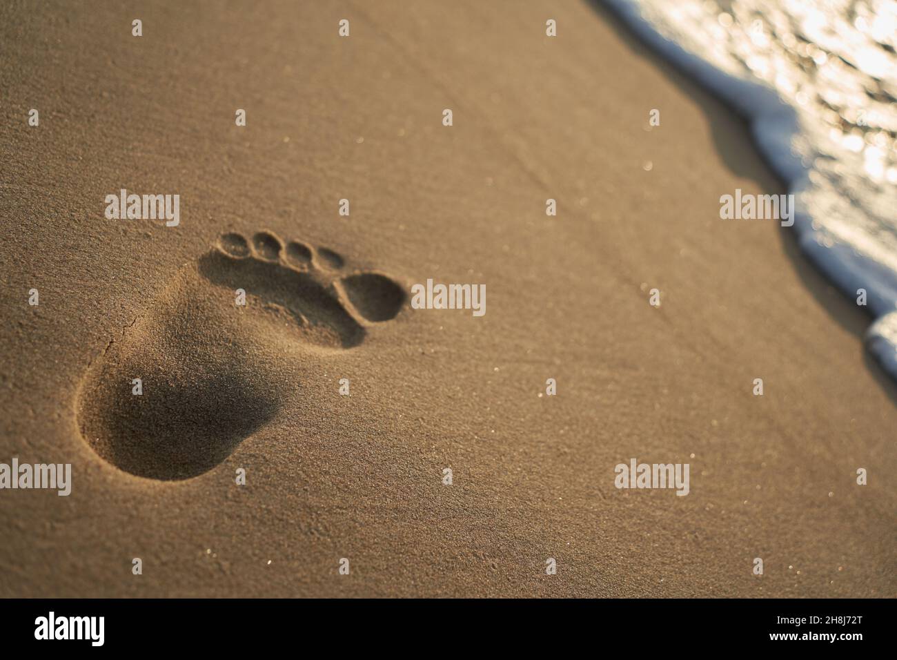 Big footprint on the sandy beach. Water edge with foam of the sea ...
