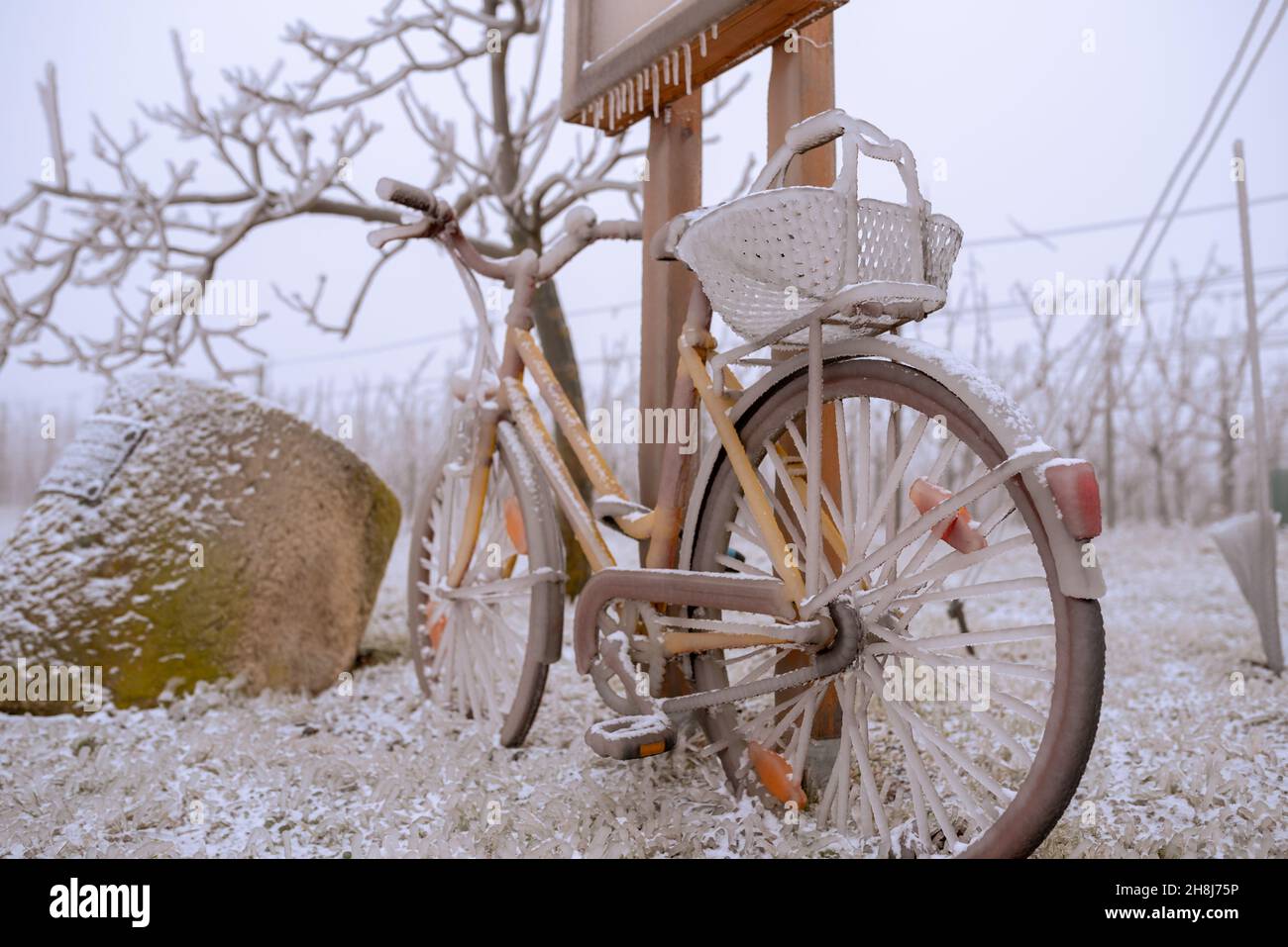 Frozen bike covered with ice. Frozen bike in the middle of wintry ...