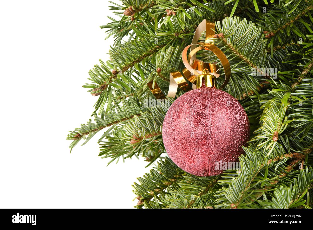 Spruce branch and christmas decorations isolated on white background. High resolution photo ...