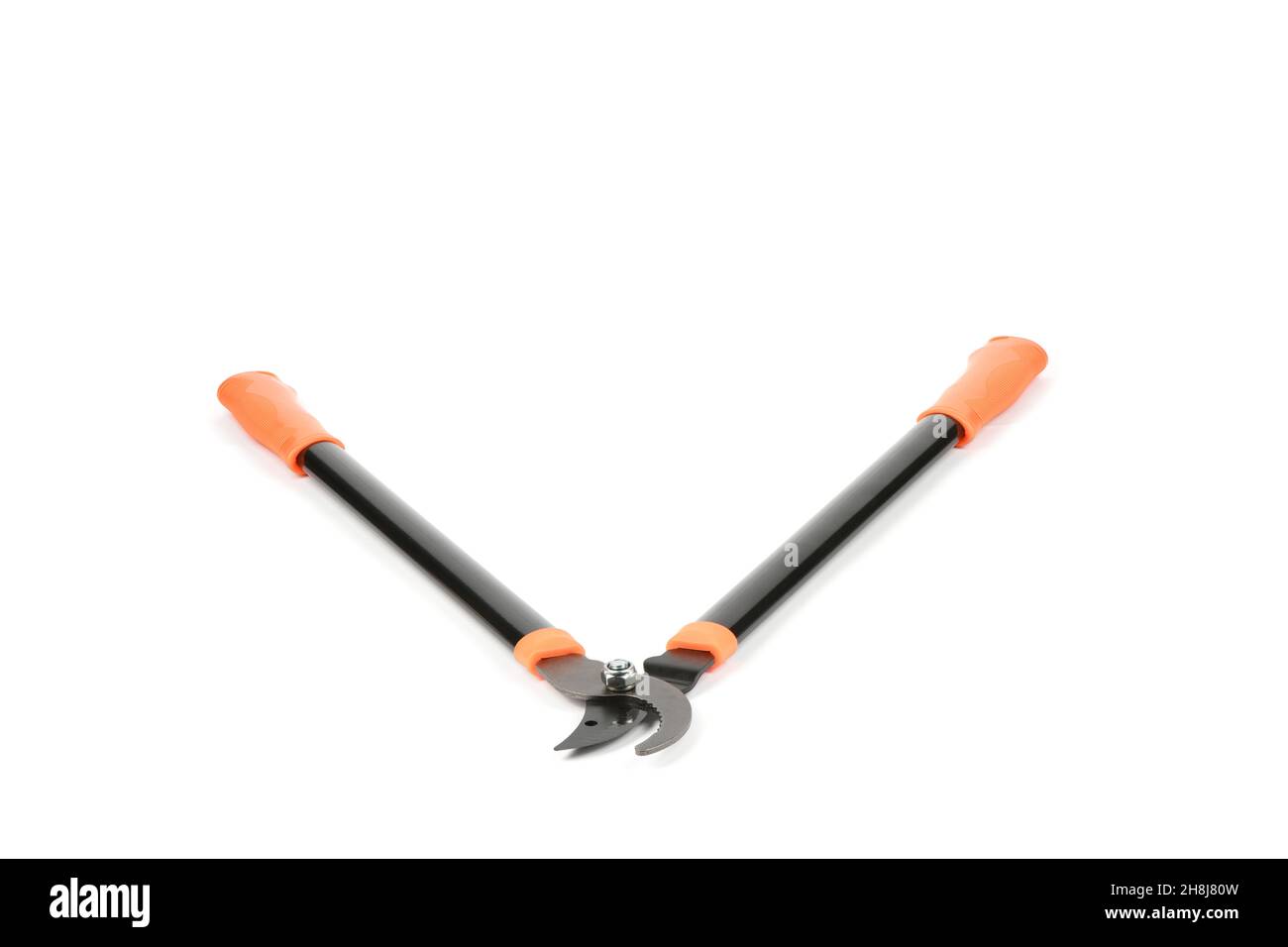 Pruner for pruning large branches, twigs and knots. Garden Tools ...