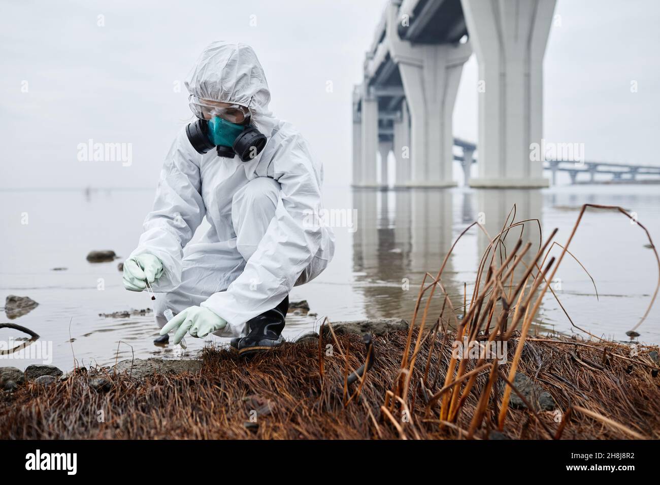 Full length portrait of scientist wearing hazmat suit collecting soil ...
