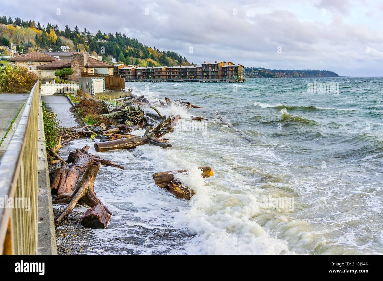 Shoreline with trees hi-res stock photography and images - Alamy