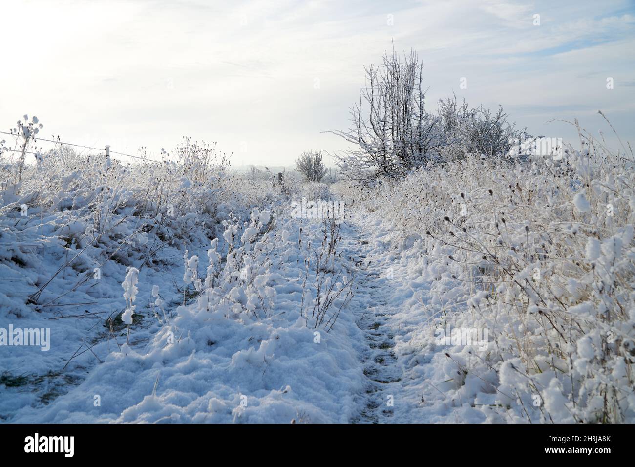 First heavy winter snowfall hi-res stock photography and images - Alamy