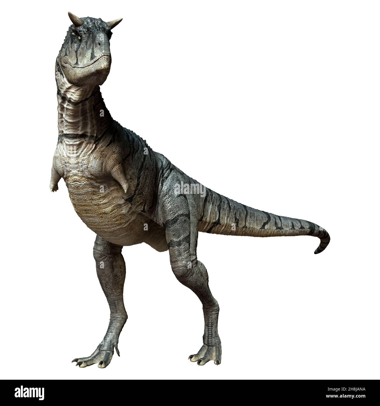 3d Rendering Of A Carnotaurus Sastrei Dinosaur Or Flesh Eating Bull